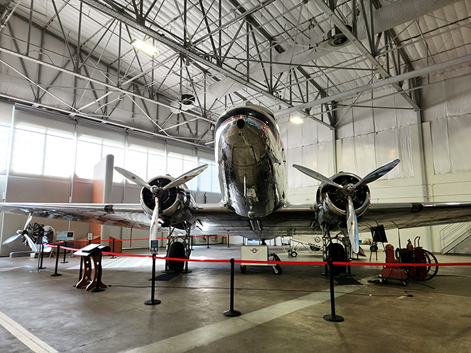 This gleaming DC-3 has aged better than most Hollywood stars, its polished silver skin reflecting decades of aviation dreams. 