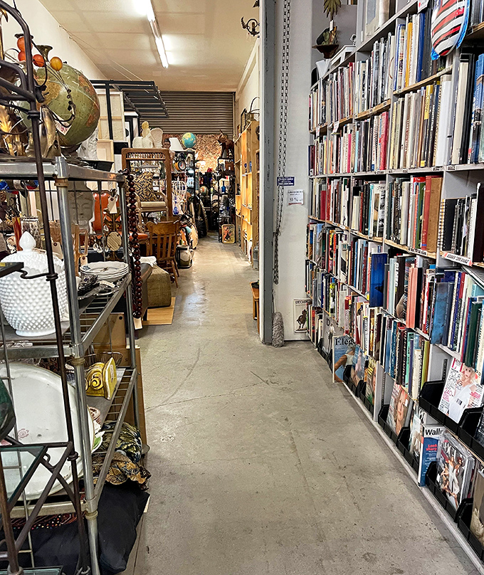 Literary heaven meets vintage wonderland. These shelves hold more stories than just the ones printed in their well-loved pages.