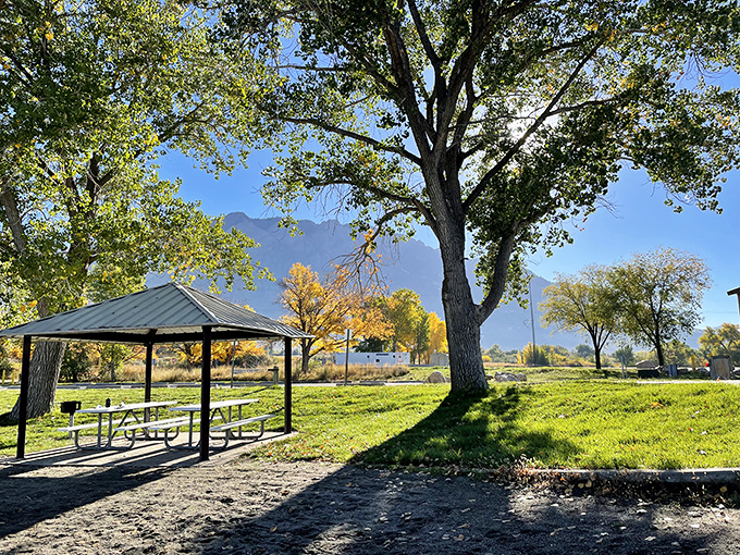 Picnic perfection under autumn's golden canopy. The mountains stand guard while you contemplate a second sandwich and life's bigger questions.