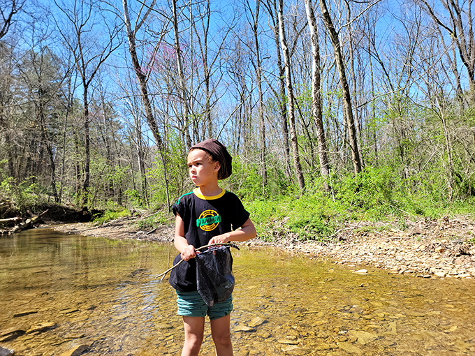 Creekside exploration connects generations to nature's playground, where discoveries await in every shallow pool and around each bend.