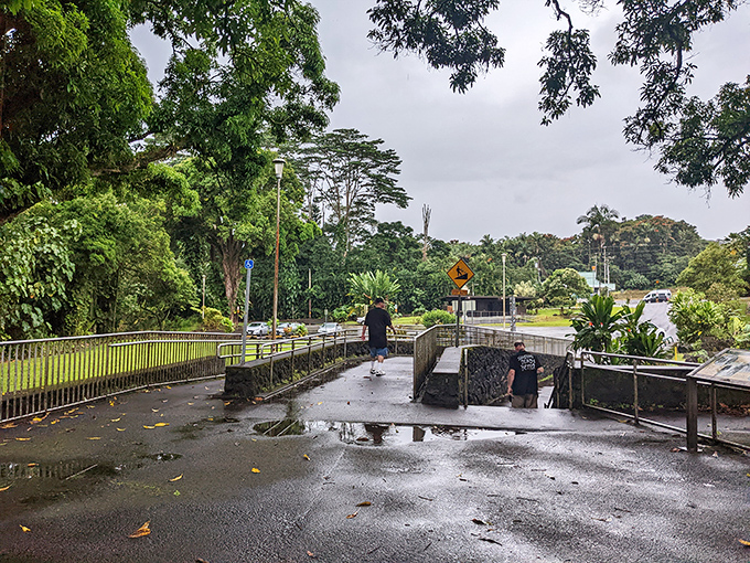 Rain or shine, visitors gather here because some views are worth getting a little damp for, obviously.