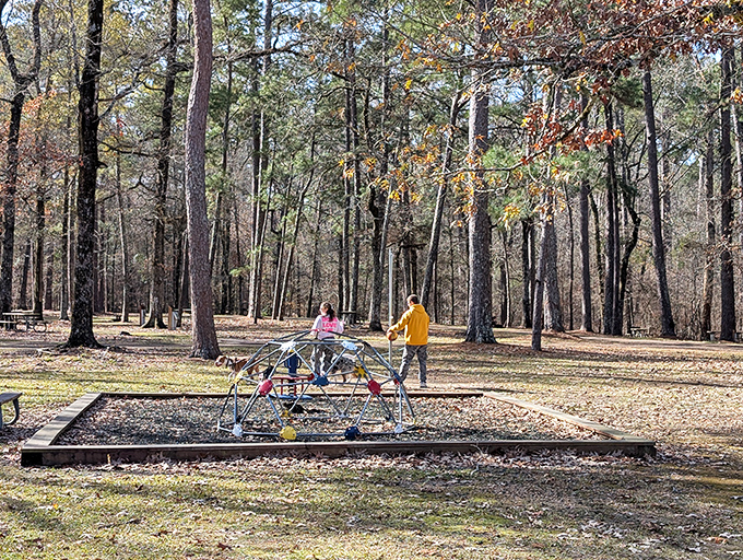 The playground equipment gets kids excited about being outdoors, which is basically winning the parenting lottery these days.