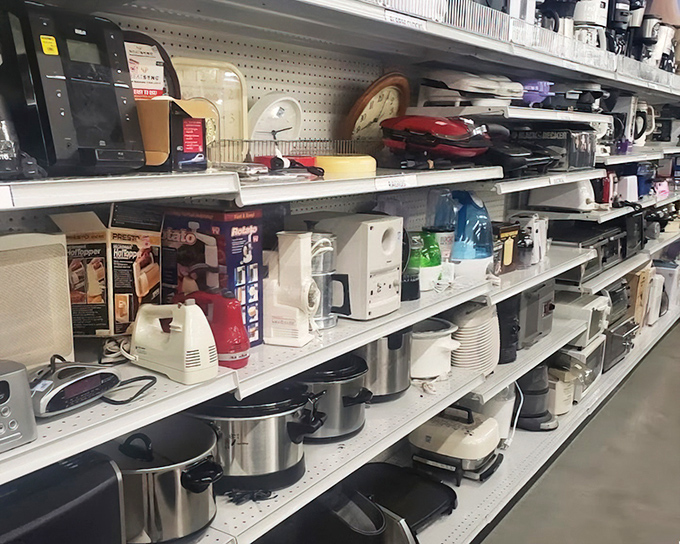 Kitchen gadget heaven or appliance purgatory? From pristine panini presses to vintage waffle makers, these shelves hold culinary potential waiting to be rediscovered.