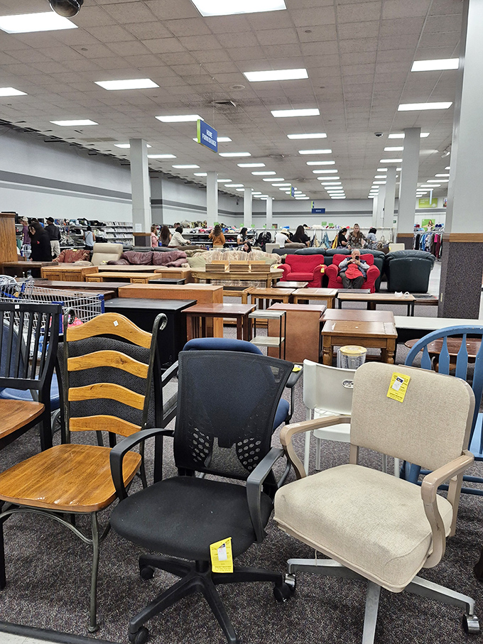 Office chairs, dining chairs, recliners&mdash;a parliament of seating options having a silent debate about who's most comfortable.