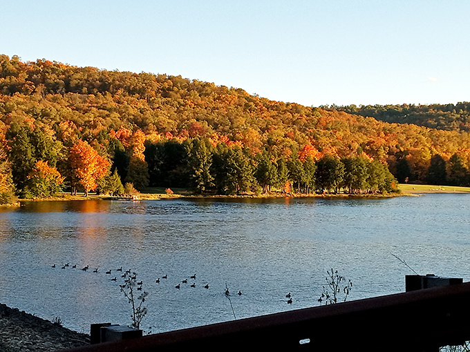 Fall foliage reflected in Chapman's lake creates a double feature of color that no Instagram filter could possibly improve upon.