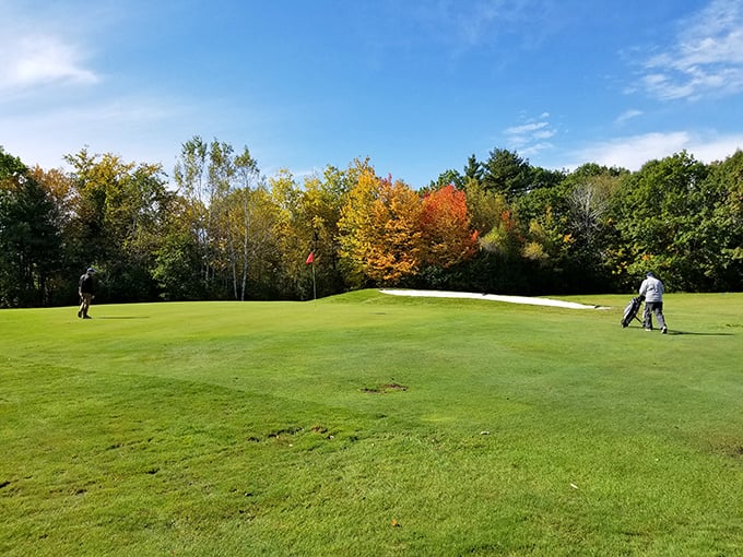 Bangor Municipal Golf Course showcases fall's fiery palette, where even a missed putt feels forgivable amid such spectacular scenery.