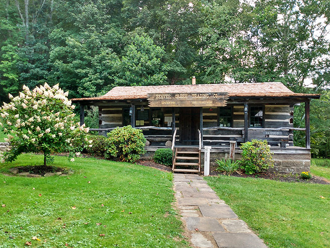The Trading Co. cabin welcomes visitors with rustic charm and flowering hydrangeas. Pioneers never had landscaping this good!