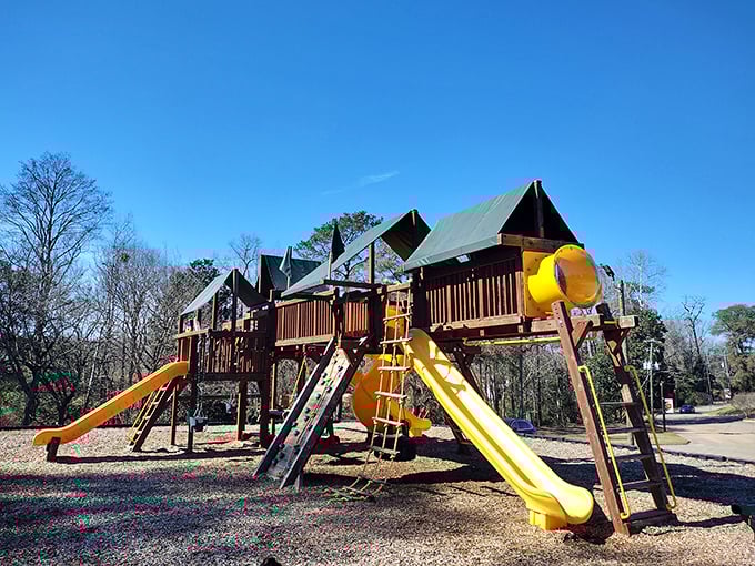 Beeland Park's playground structures reach toward the Alabama sky, promising adventures for little explorers and a moment's peace for watchful grandparents.