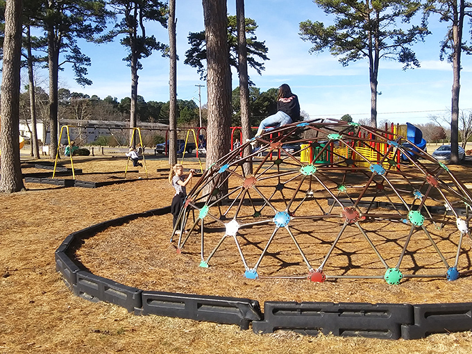 Berryhill Park's playground equipment looks like modern art that kids can actually climb on.
