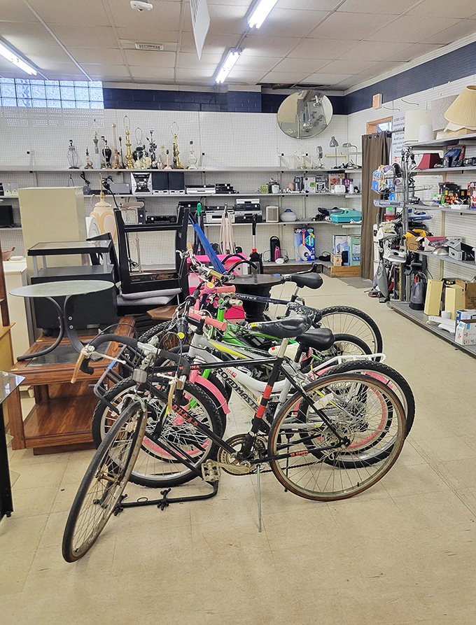 Bicycles waiting for their next adventure stand alongside vintage lamps and forgotten trophies. Someone's abandoned hobby is about to become another's weekend passion.