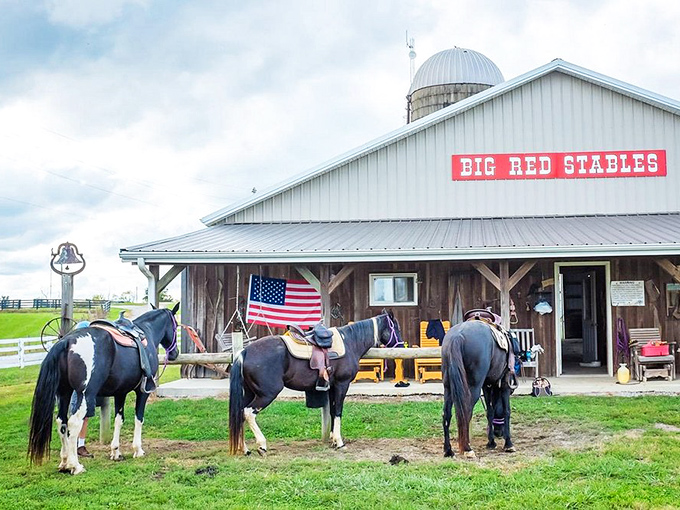 Big Red Stables isn't just about horses&mdash;it's where city slickers and country folk alike rediscover the simple joy of four hooves and open trails.