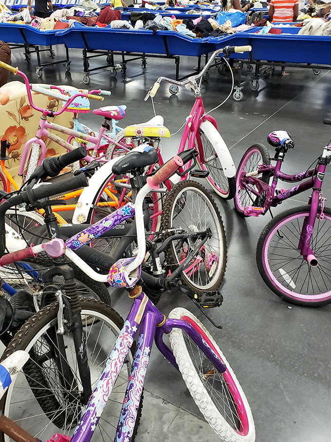 Bicycle heaven for kids and budget-conscious parents – where that pink princess ride costs less than a week of theme park parking.