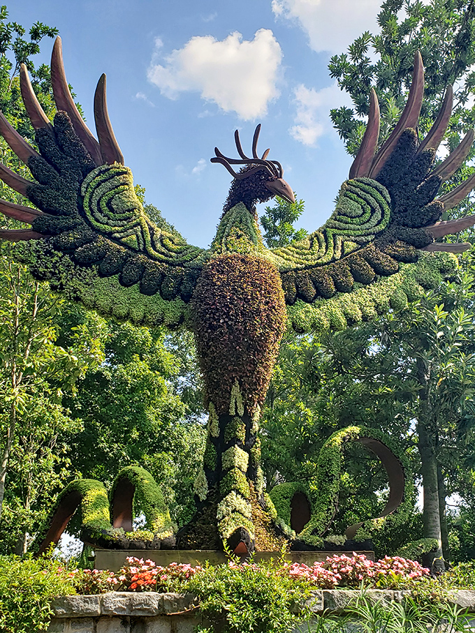 This majestic plant eagle spreads its wings, proving that with enough patience, gardens can indeed take flight.