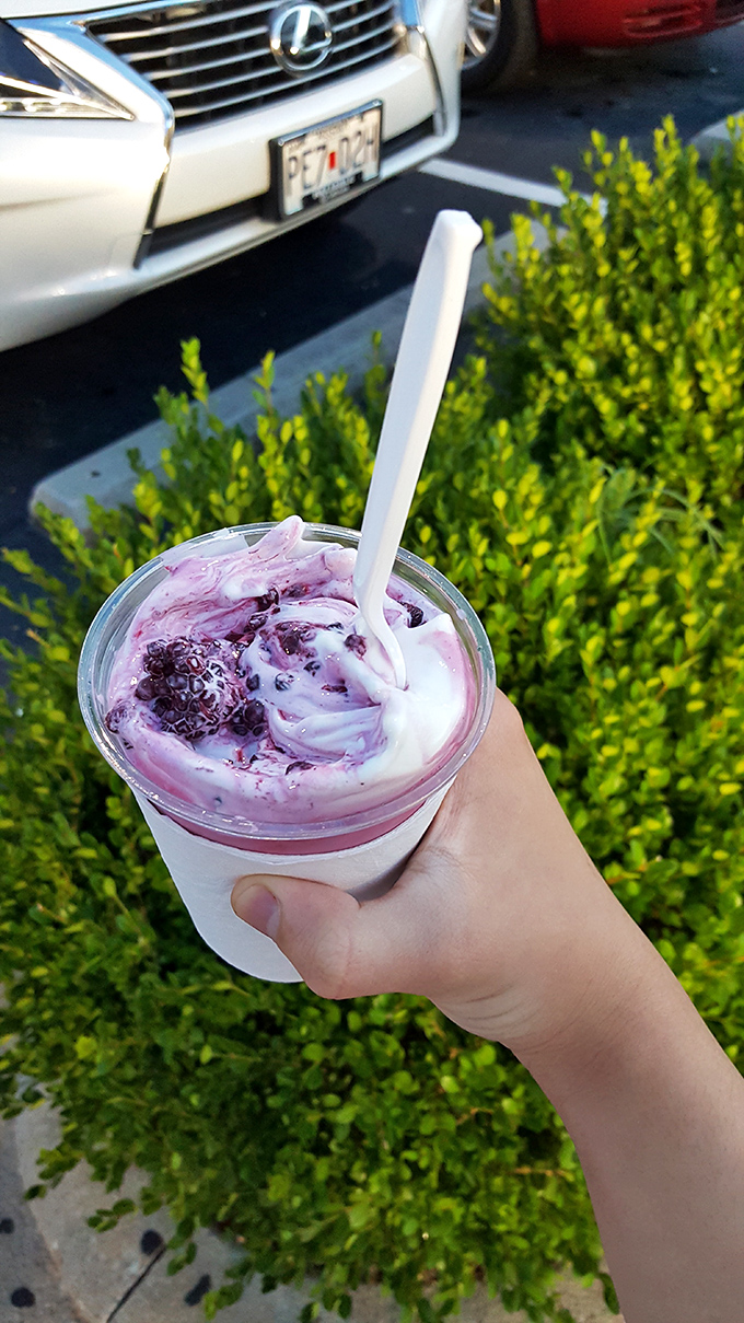 The purple swirl of blackberry concrete hypnotizes with its vibrant color, promising fruit-forward flavor that puts ordinary milkshakes to shame.