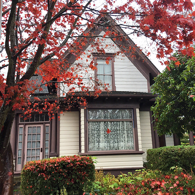 Blackman House Museum's Victorian charm peaks through autumn foliage, like a historical romance novel come to architectural life.