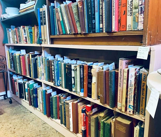 Books stacked with the precision of a literary Jenga tower. Each spine represents someone's favorite story waiting for its next reader.