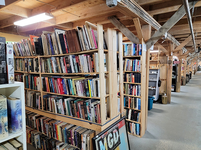 Literary treasures line these rustic wooden shelves, promising adventures, knowledge, and that irreplaceable scent of well-loved pages.