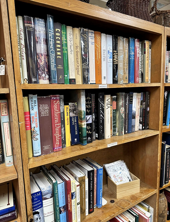 Literary treasures stacked with care. These aren't just books; they're time machines with spines, waiting for the right hands to open their worlds.