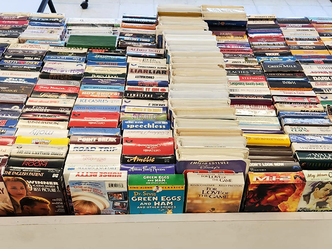 Literary treasures stacked with care. From dog-eared paperbacks to pristine hardcovers, this is Netflix for book lovers who prefer pages to pixels.