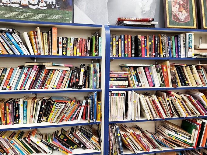 Books upon books, each spine holding adventures that cost less than your morning newspaper.