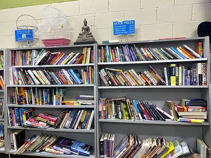 Literary lottery tickets stacked neatly&mdash;each spine potentially hiding that first edition you've hunted since college.