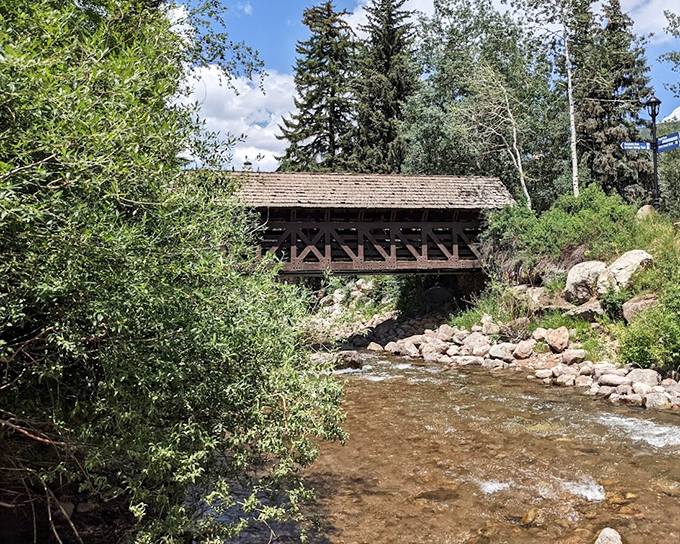 From this angle, the bridge appears to emerge organically from the landscape, as if Colorado's mountains decided to grow their own crossing.