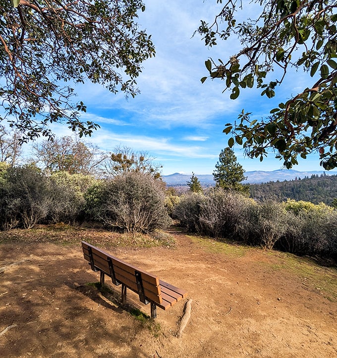 A bench with a view &ndash; sometimes the best attractions are simply places that let you sit and absorb the rolling hills of Southern Oregon.