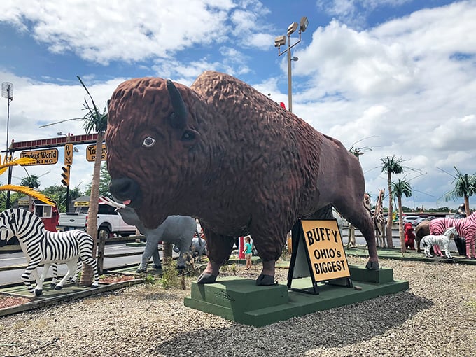 "Buffy, Ohio's Biggest" proclaims the sign beneath this magnificent bison statue. Because nothing says "stop and shop" like a giant buffalo greeting.