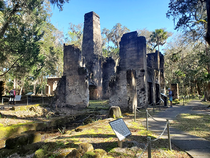These haunting ruins at Bulow Plantation whisper stories of Florida's past, standing like stone sentinels among the Spanish moss.