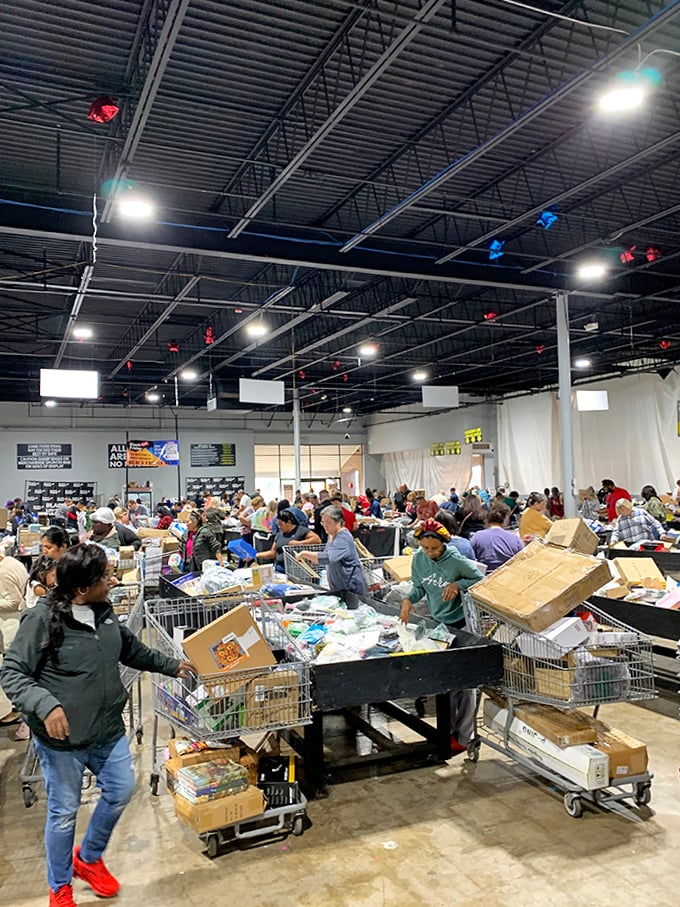 Shoppers on a mission, carts loaded with finds that'll have neighbors asking "where'd you get that?"