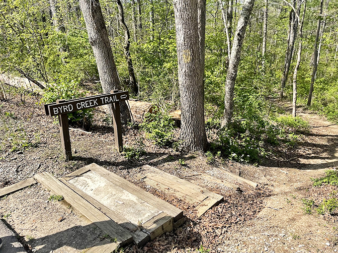 Byrd Creek Trail beckons with wooden steps and a simple sign&mdash;the universal invitation to adventure. 