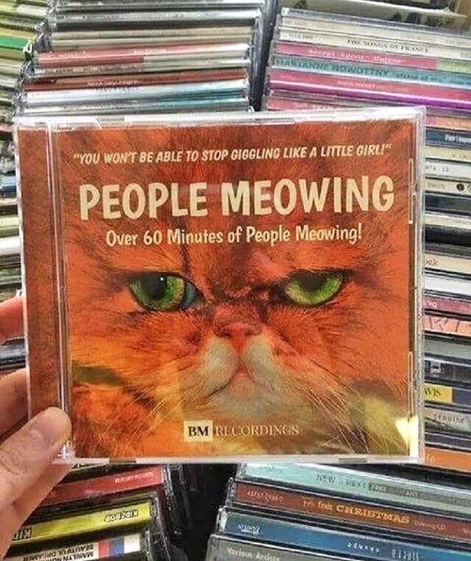 "People Meowing" might be the most gloriously unnecessary CD ever created&mdash;and exactly why flea markets remain cultural treasure troves.