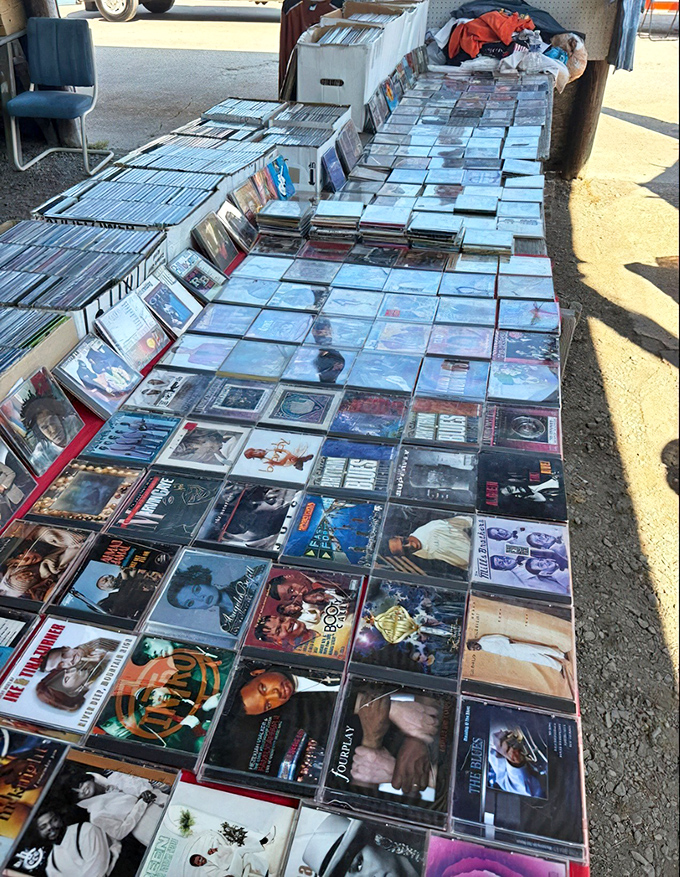CD collection that would make any 90s teenager weep with nostalgia. Music history displayed in plastic cases.