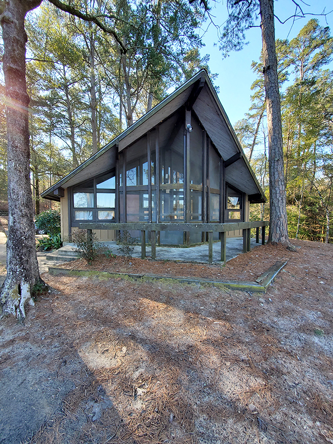 Rustic luxury defined. This A-frame cabin nestled among towering pines proves you don't need five stars to have a five-star experience.