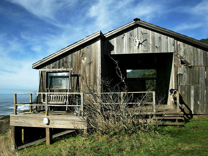 Weathered coastal cabin perched above the Pacific, offering front-row seats to nature's daily spectacular ocean performances.