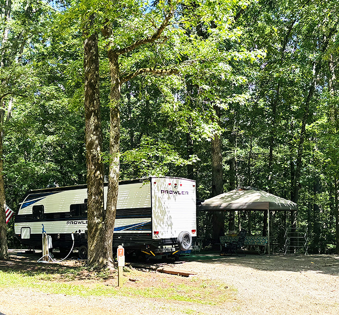 Your RV's dream vacation spot: where modern camping conveniences meet trees older than your favorite classic rock songs.