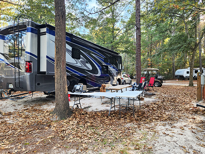 Camping with modern comforts—where "roughing it" means your coffee might be a few steps away from your bed.