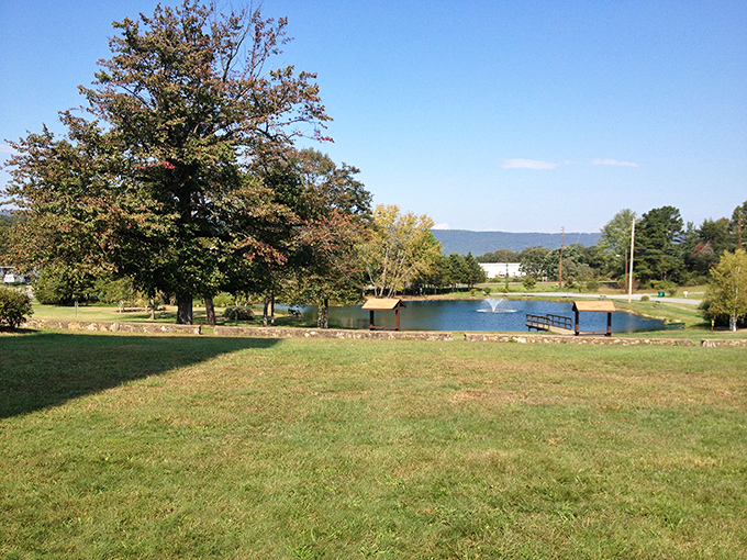 This tranquil pond scene offers the kind of peaceful vista that makes smartphone notifications seem suddenly irrelevant.