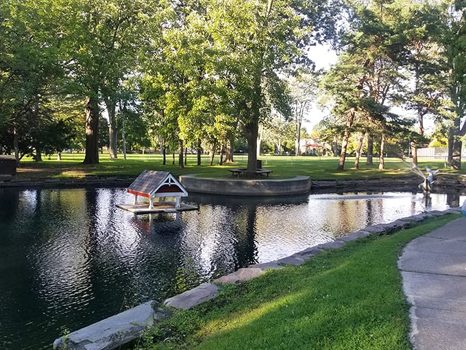 Carroll Park's tranquil pond proves that peaceful green spaces don't require entrance fees or reservation systems.