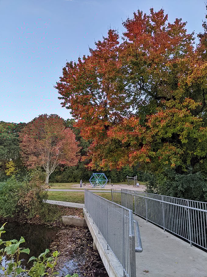 Fall transforms Cass Park into a painter's palette of reds and golds, where nature puts on its most spectacular seasonal show.