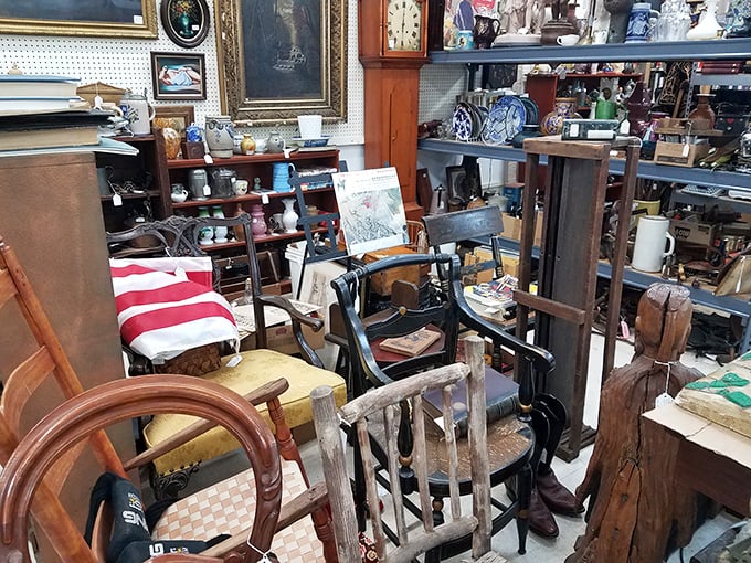 Chair symphony in progress: each wooden seat with its own personality, gathered like old friends sharing stories of the homes they've seen.