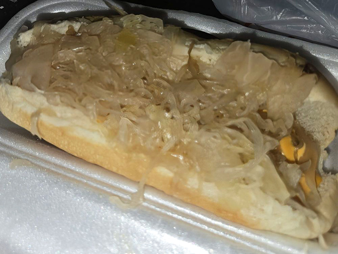 The kraut dog in its foam throne, ready for its close-up. A tangy, savory masterpiece that would make any German grandmother nod in approval.