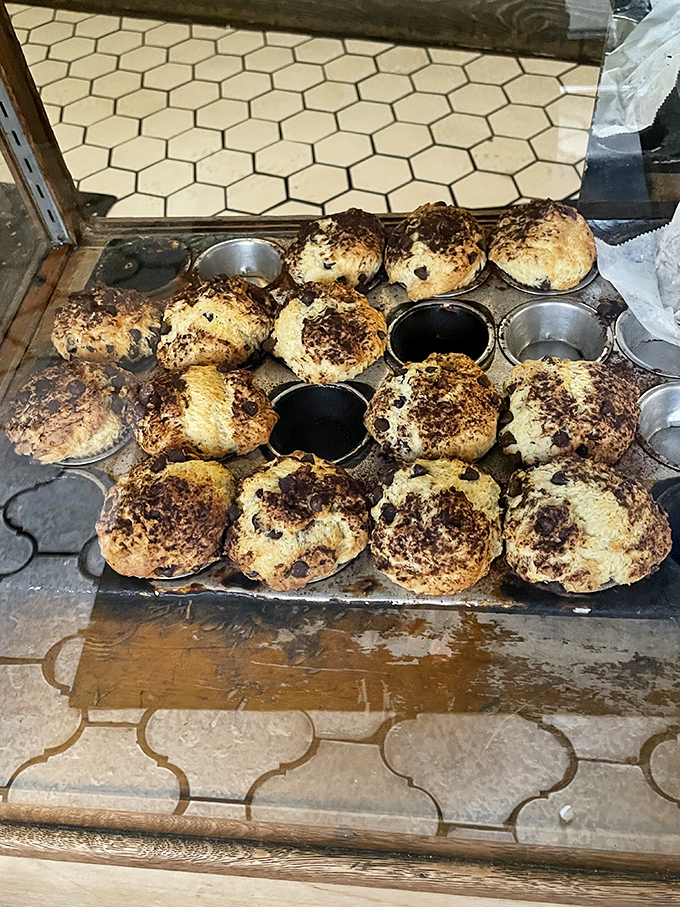 Fresh-baked chocolate chip muffins waiting for their moment of glory. Resistance is futile, and honestly, why would you even try?