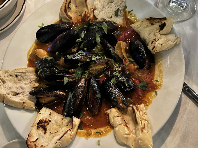 Mussels basking in a tomato bath, surrounded by crusty bread for sopping up that liquid gold. Maritime magic on a plate.