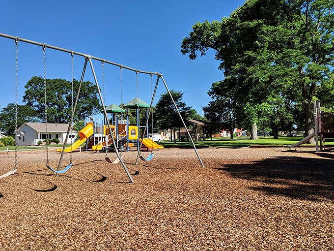 The city park offers simple pleasures that somehow feel more satisfying than any overpriced theme park experience.