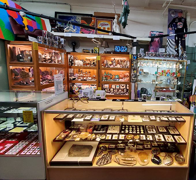 Treasure island for collectors&mdash;where display cases hold miniature worlds and childhood memories safely behind glass, price tags dangling like promises.