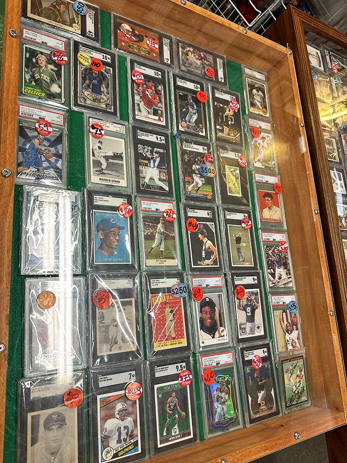 Sports cards displayed like precious artifacts in a museum of nostalgia, where childhood heroes are preserved behind protective plastic.