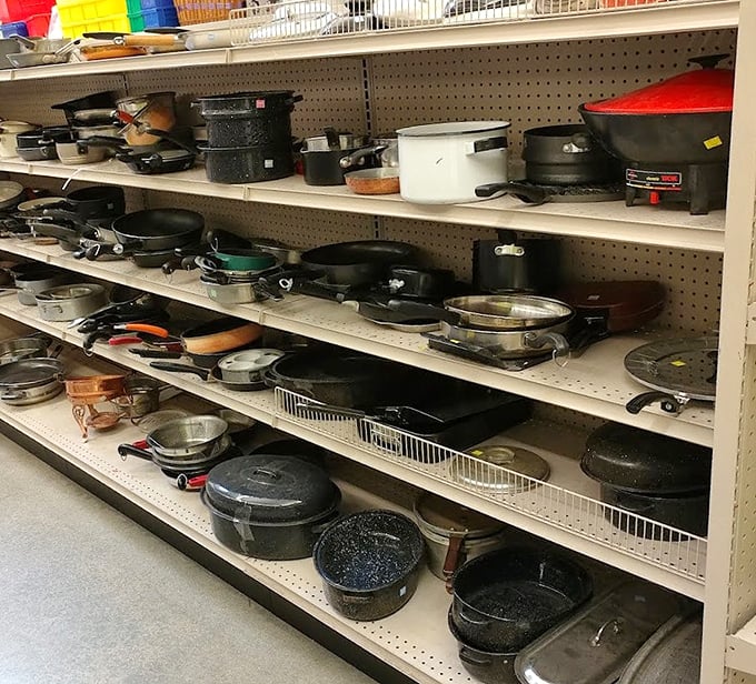 Cast iron paradise! These pans have seen more family dinners than most therapists, and they're ready for another century of service.