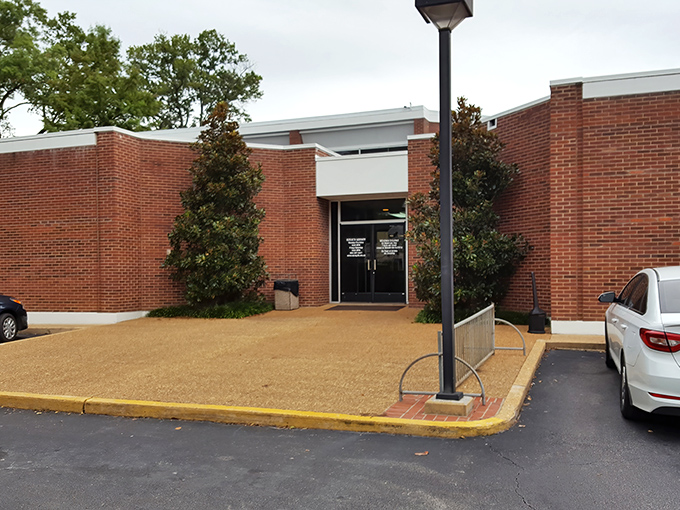 The public library remains civilization's greatest free amenity, offering books, internet, and blessed air conditioning year-round absolutely free.
