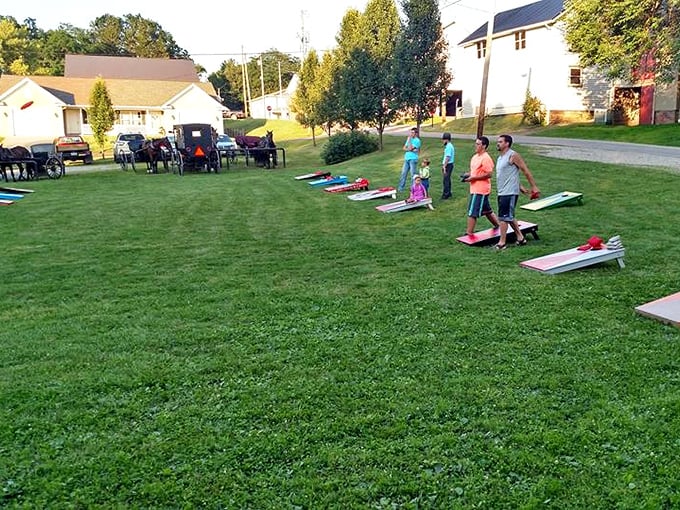 Cornhole tournaments in Winesburg are serious business. These aren't games; they're community bonding rituals with surprisingly intense athletic competition.